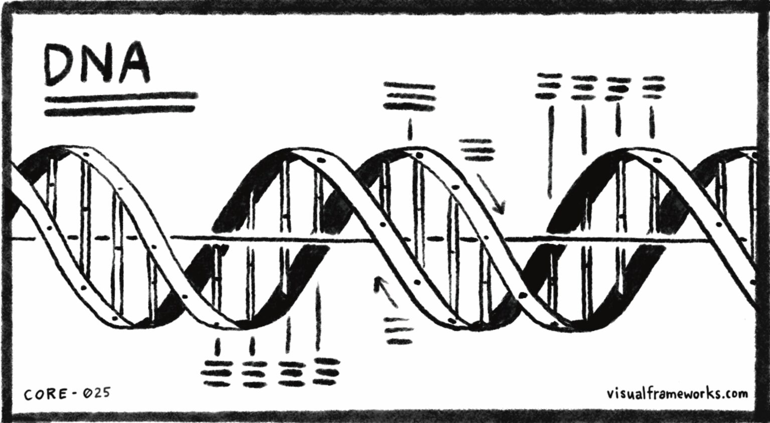 DNA – visual frameworks